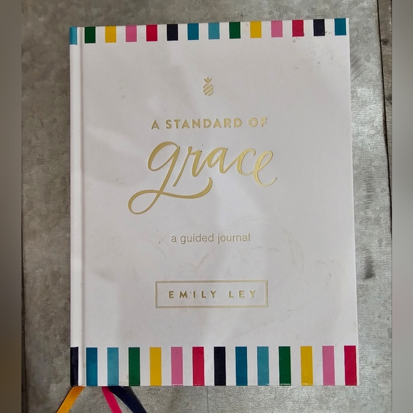 Standard of Grace | Office | Standard Of Grace Guided Journal By Emily ...